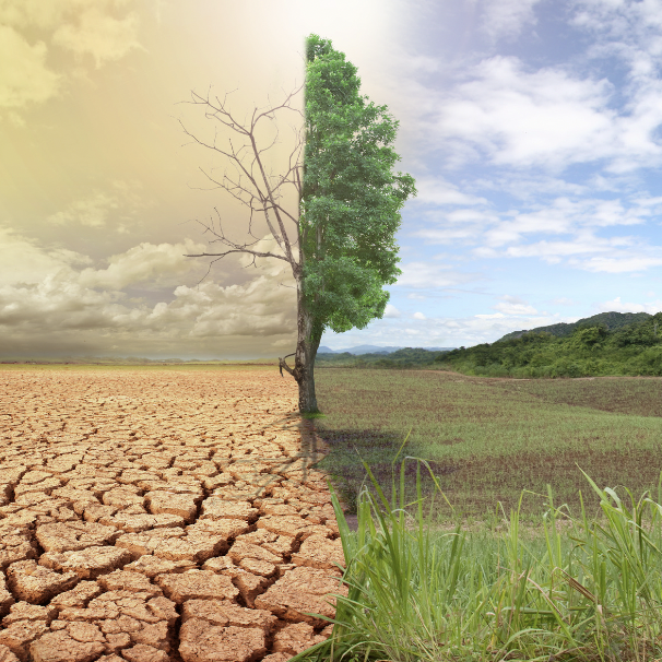 We’ve Never Been Better Equipped to Solve the Climate Crisis - Southern ...