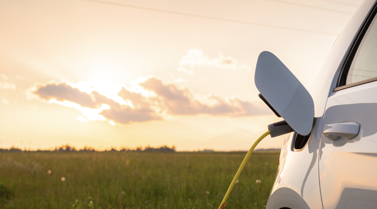 Southeast Electric Vehicle Manufacturing Rising, Other Market ...